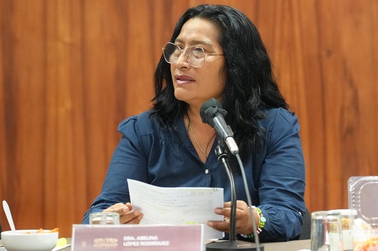 SCJN confirma suspensión que frena auditoría y revocación contra ...